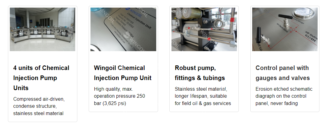 4 Units of Chemical Injection Pump Systems Were Delivered | Wingoil